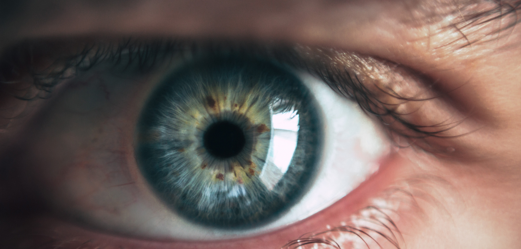 Waarom écht oogcontact zo belangrijk is! - SprekersBlog.nl